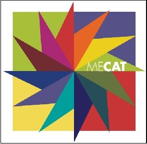 Monitoring and Evaluation Capacity Assessment Toolkit (MECAT ...